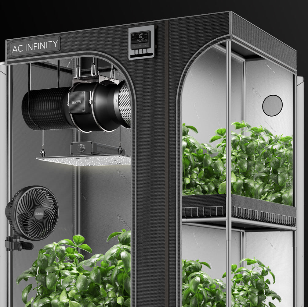 How to Start Growing Cannabis for Beginners Using AC Infinity Products ...